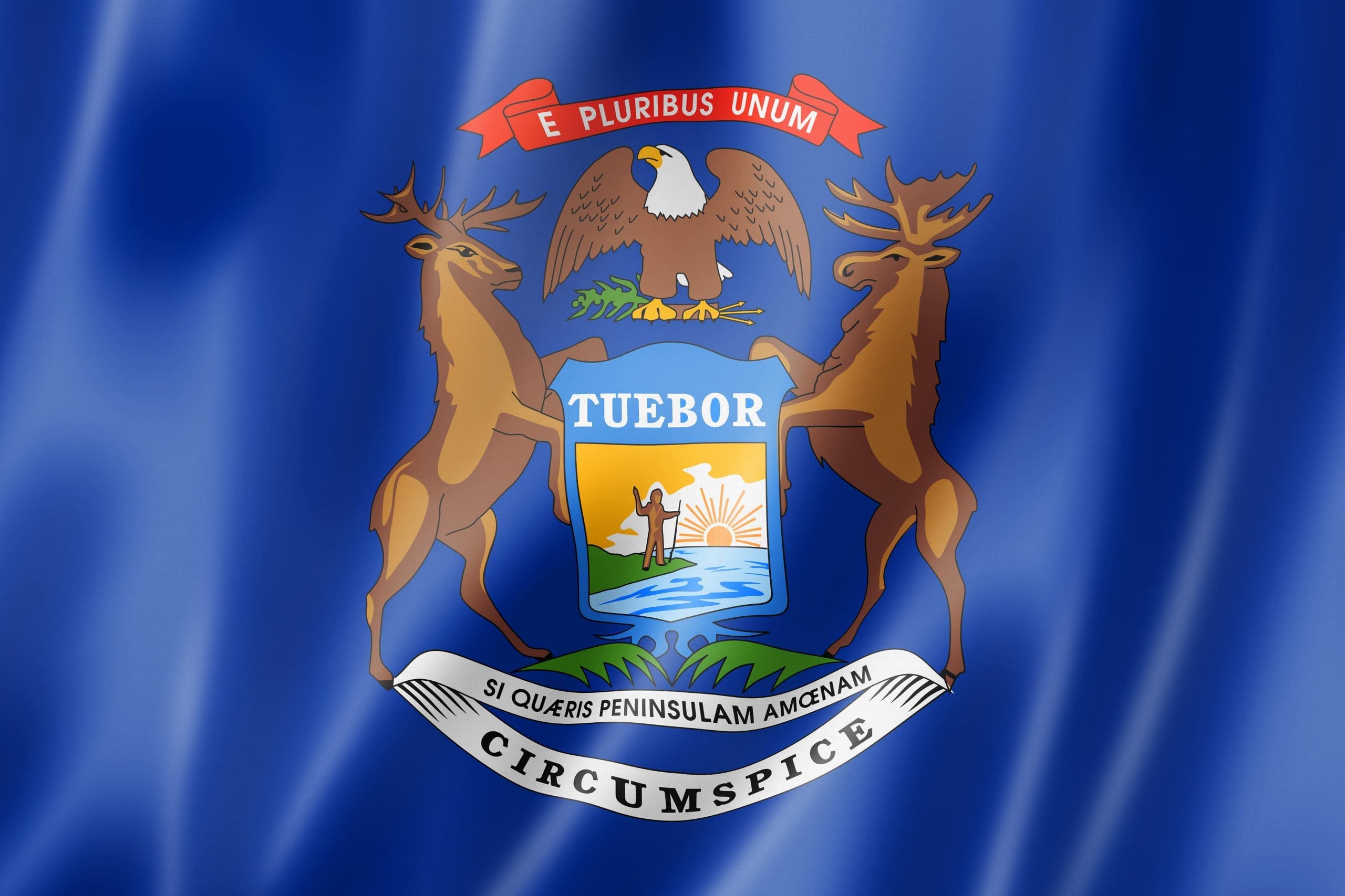 Michigan State Flag Florida Flag US